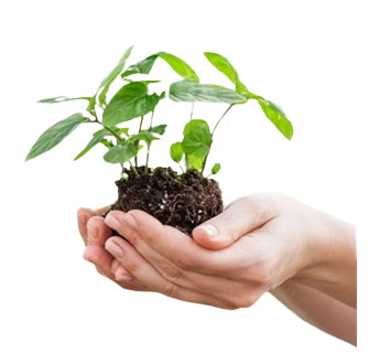 Agricultural Nursery System | teajar